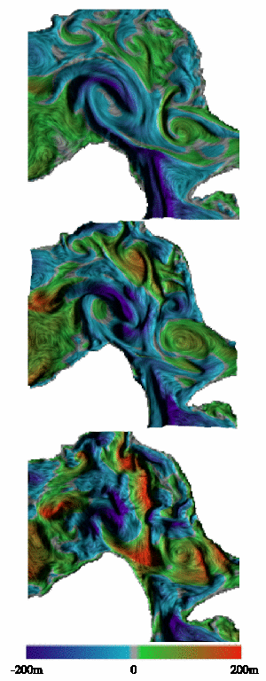 Interactive Texture-Based Flow Visualization
